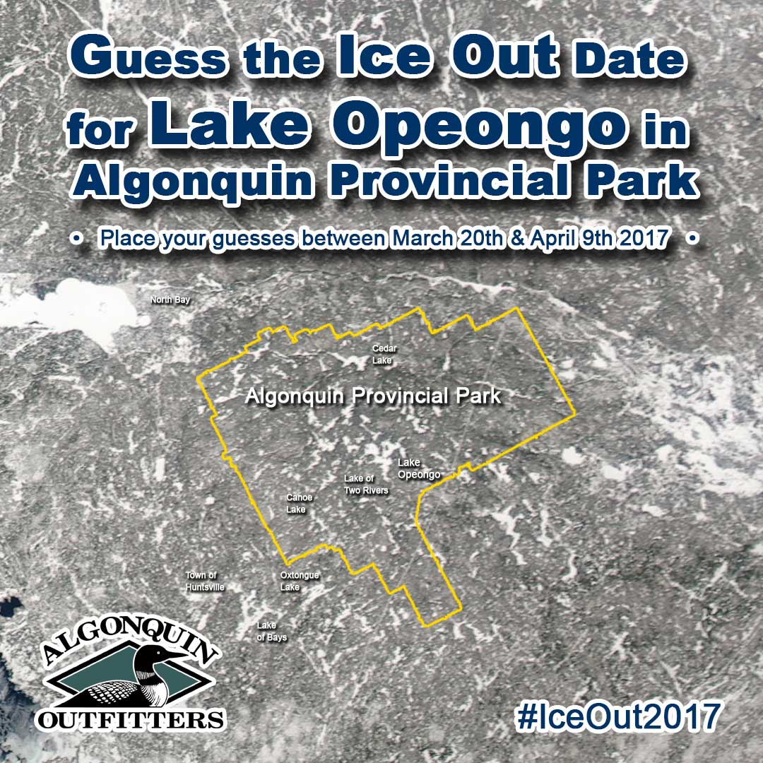 Algonquin Park Ice Out Contest | Create Your Own Contests at ShortStack.com